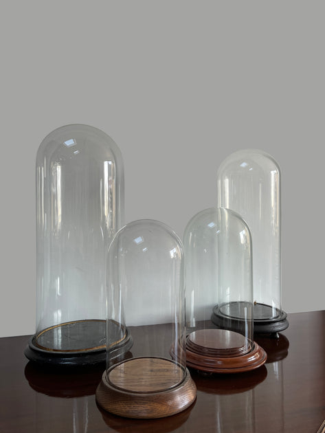 Antique Victorian Glass Display Dome On Turned Ebonised Base – John Zoffa