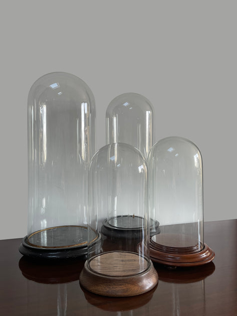 Antique Victorian Glass Display Dome On Turned Ebonised Base – John Zoffa