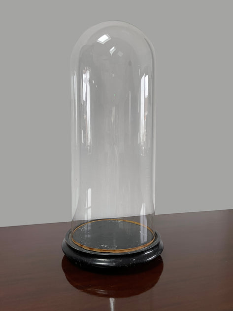 Antique Victorian Glass Display Dome On Turned Ebonised Base – John Zoffa
